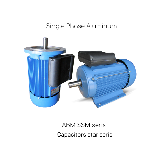 Động cơ điện 1 pha ABM SSM series (Capacitor star) - HACOMOTO - Công Ty ...