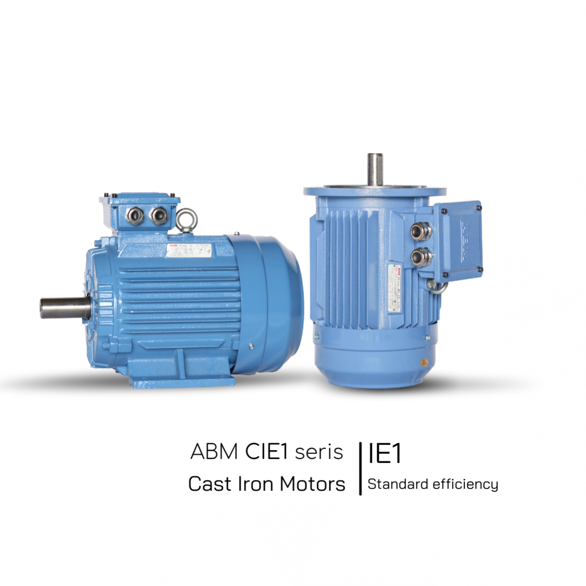 Động cơ điện Motor ABM CIE1 series (Cast iron motors) - HACOMOTO - Công ...