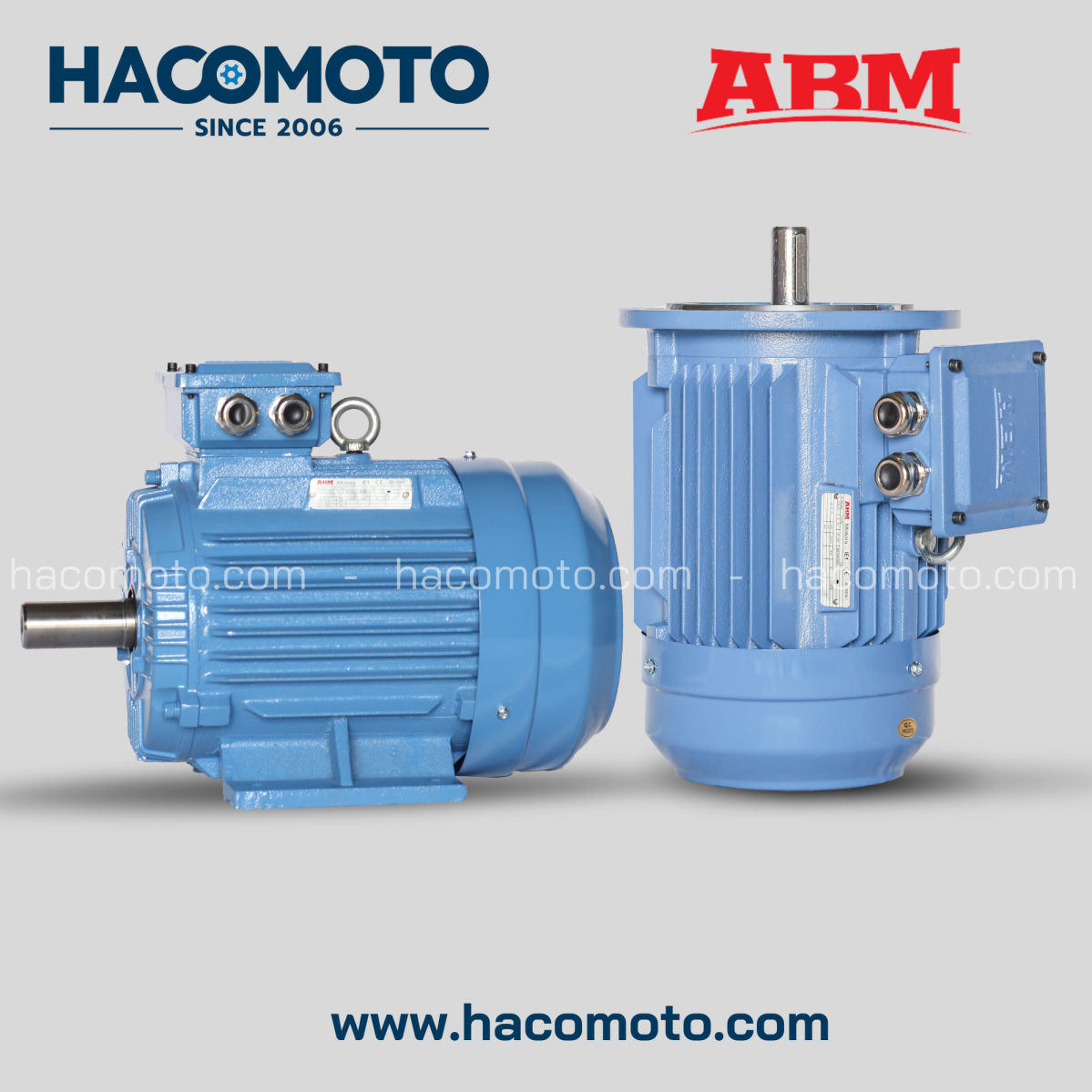 Motor ABM - IE1, IE2, IE3, IE4 động cơ điên ABM vỏ Nhôm, vỏ Gang