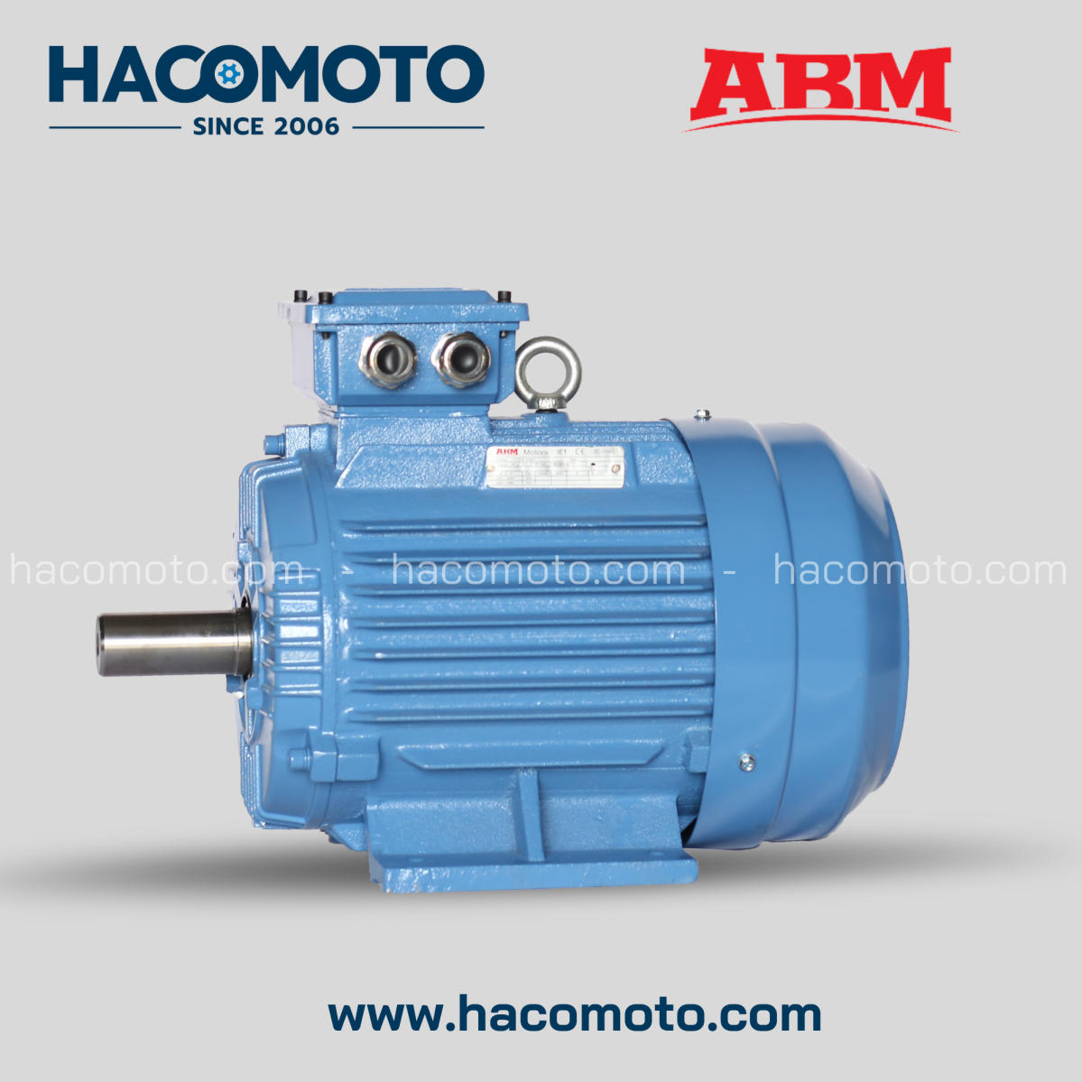 Motor ABM - IE1, IE2, IE3, IE4 động cơ điên ABM vỏ Nhôm, vỏ Gang